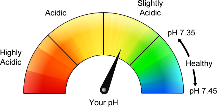 'How Acidic Is Your Body' Assessment